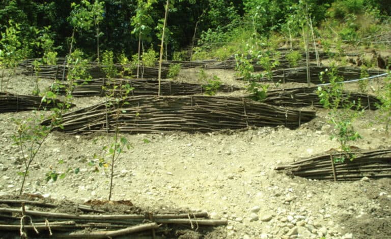 Commercial Erosion Control | Fuller Landscaping & Pools